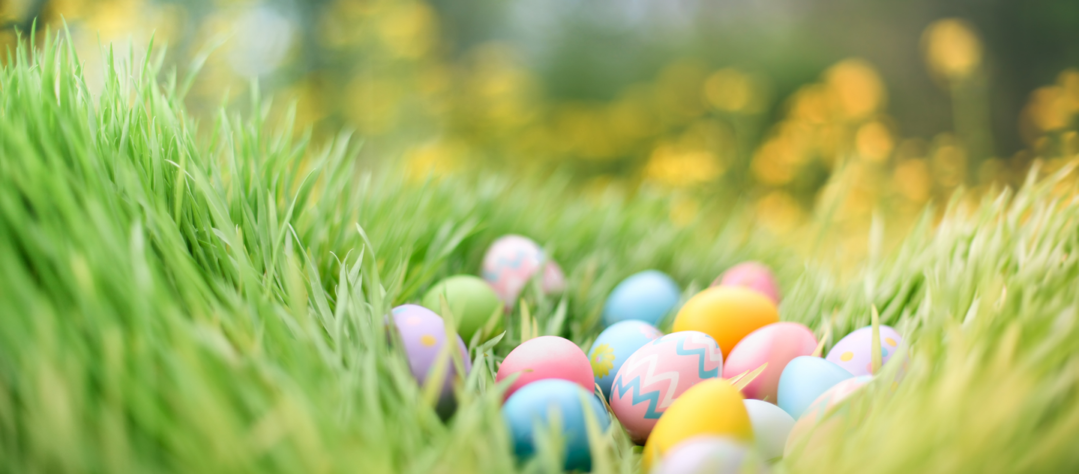 Easter Weekend Hours 2025 - reBOOT Canada